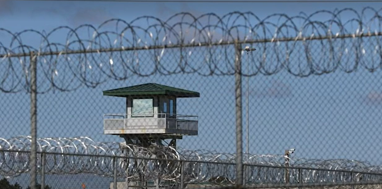 Scdc Incarcerated Inmate Search